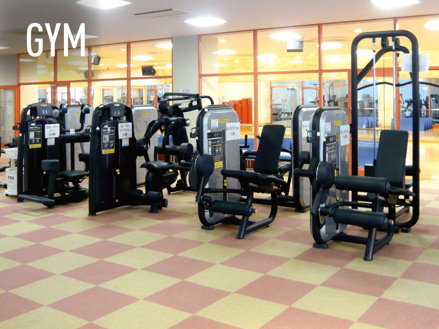 ASUWA｜あすわ｜夏カラダをつくるならASUWA！